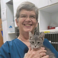 Veterinarian In Cedar Springs, MI | Cedar Animal Hospital