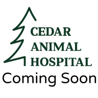 Veterinarian In Cedar Springs, MI | Cedar Animal Hospital